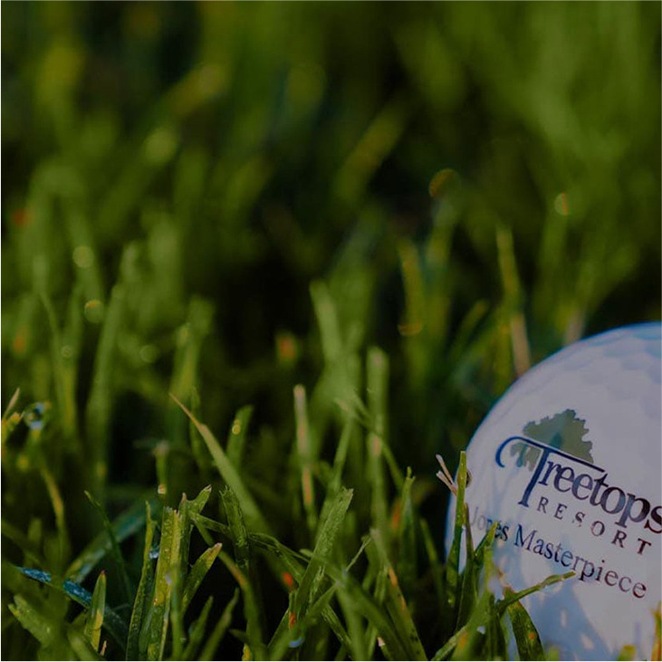 Hospitality SEO & Web Design Case Study For Treetops Resort